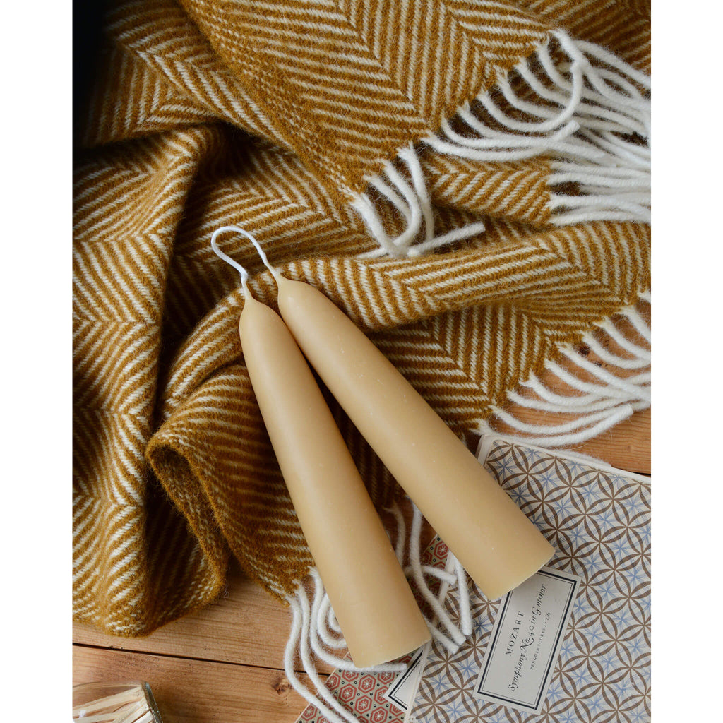 British Beeswax Candles Large Stubby - Weald Store – weald store